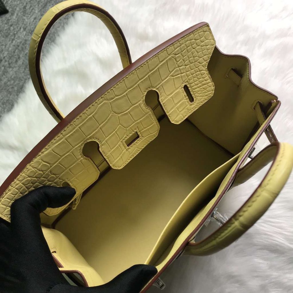 Pretty Hermes Mimosa Alligator Matt Crocodile Birkin Bag25CM Silver ...