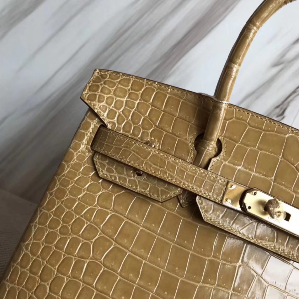 Noble Hermes 1C Poussiere Color Porosus Shiny Crocodile Birkin30CM Bag ...